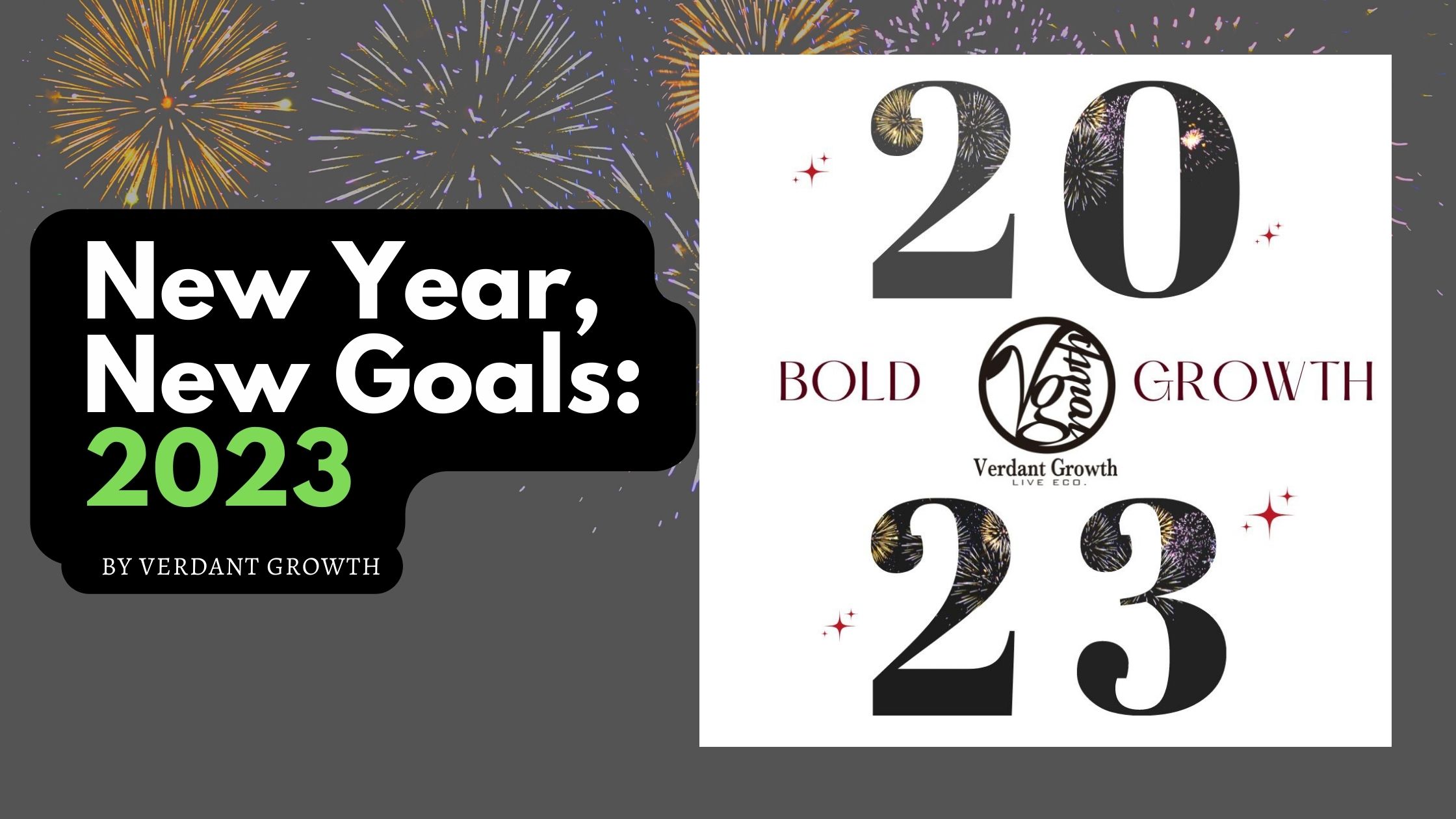 New Year, New Goals: 2023 - Verdant Growth